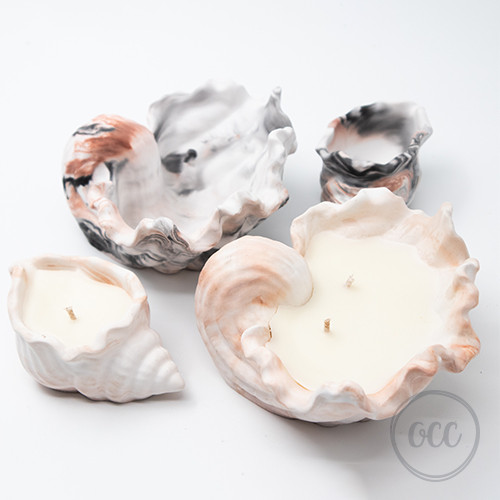 Sea shell for casting